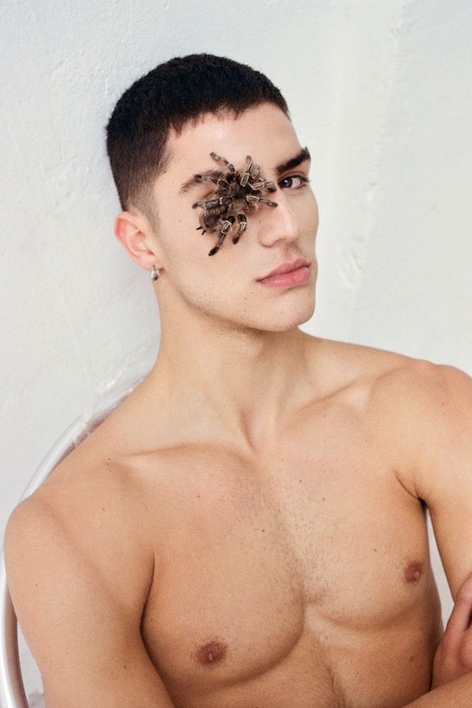 Four models and a film-maker | Arnold Zwicky's Blog